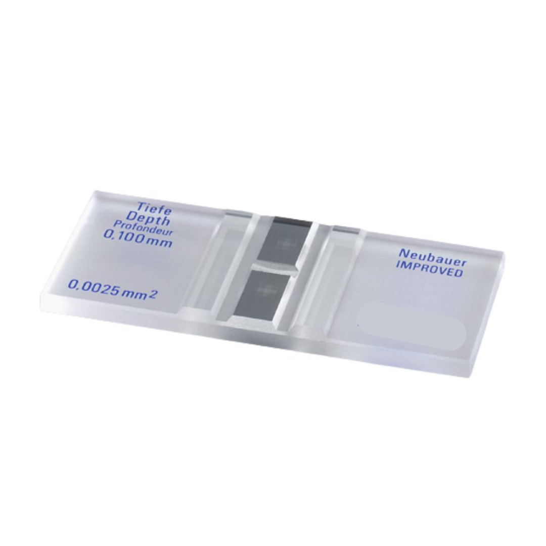buy Hemocytometer neubars chamber online – Microsidd India